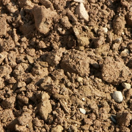 40mm Scalpings - Collard