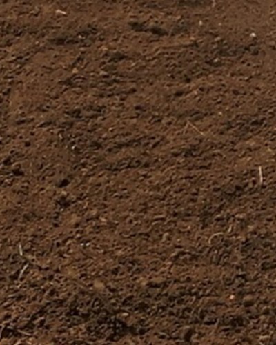 Screened Soil - Collard