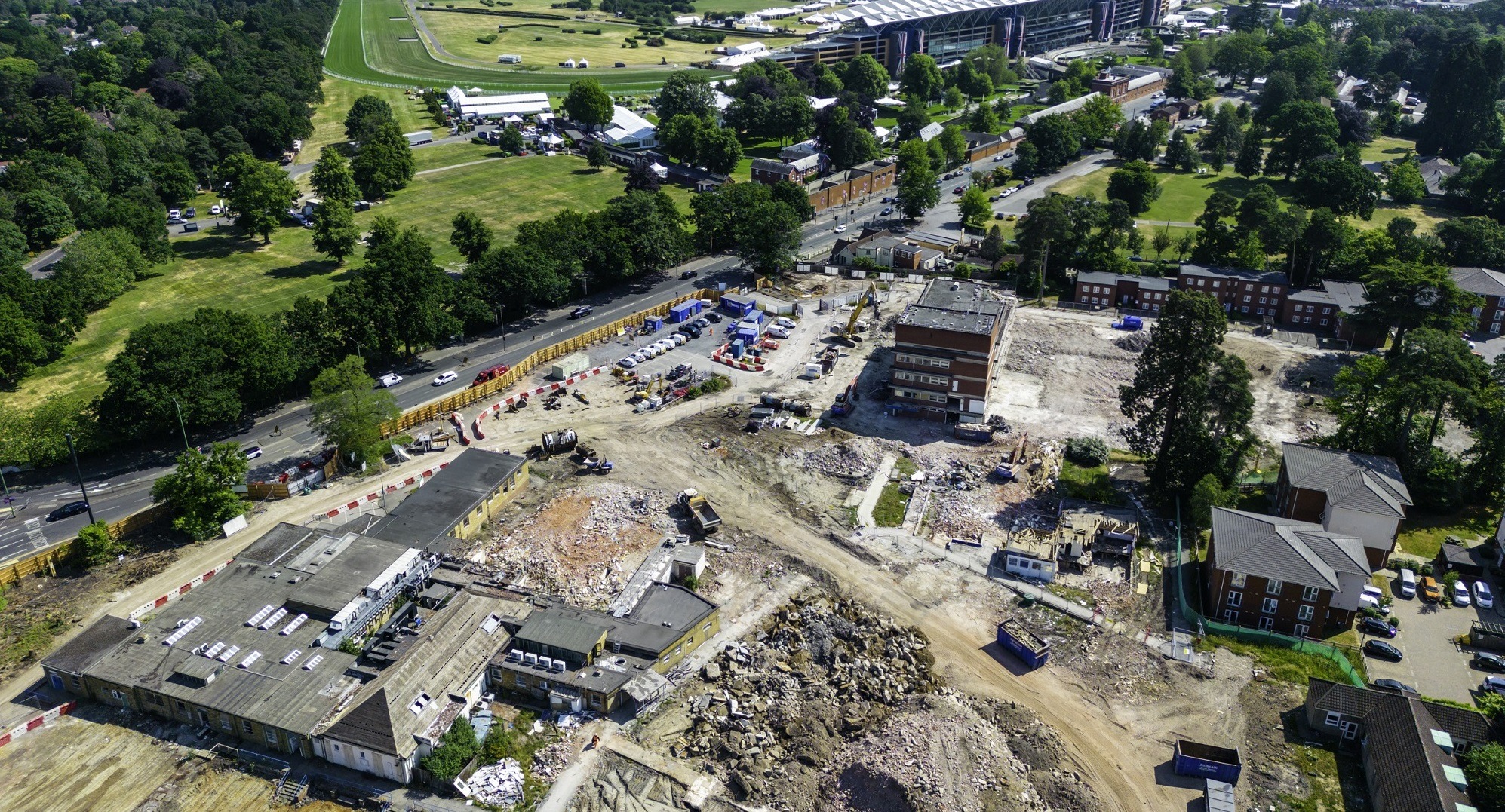 Case studies - Collard