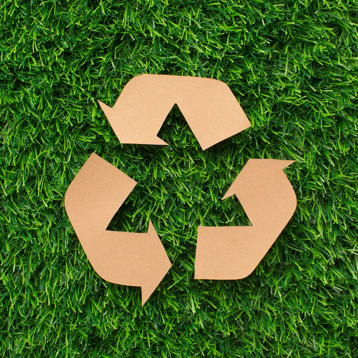 Government legislation around Simpler Recycling - Collard