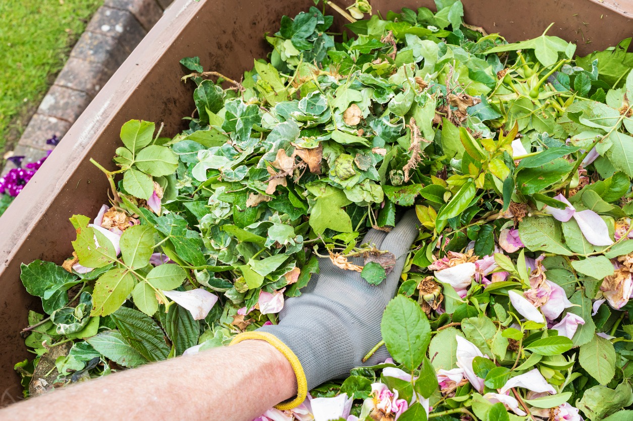 Essential Skip Hire Hampshire: Balancing Growth with Green Waste ...